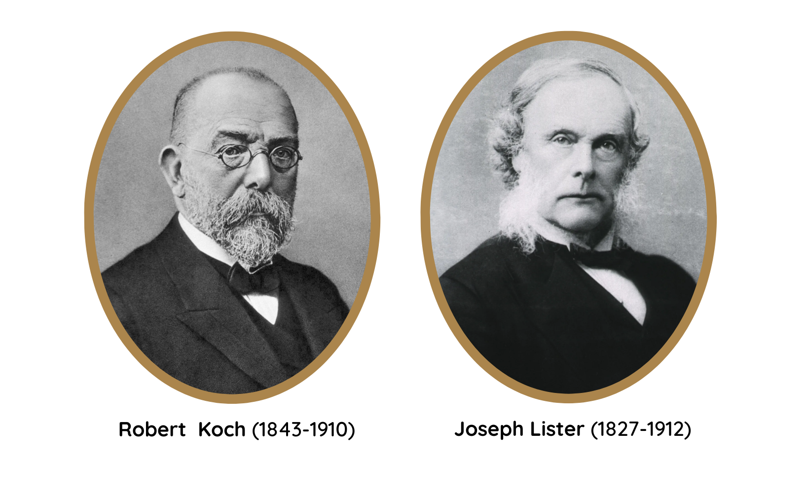 De gusanos y gérmenes :: "El Pasteuriano" - 200 Aniversario de Louis Pasteur